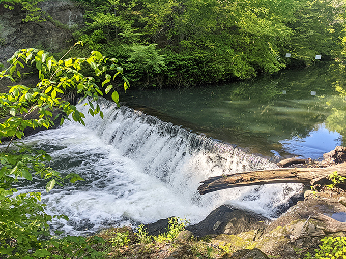 The Bronx River creates a gentle waterfall that sounds like nature's white noise machine&mdash;perfect for drowning out thoughts of unanswered emails.