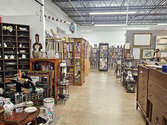 The wide, welcoming aisles invite exploration without the claustrophobia of typical antique shops. Treasure hunting with breathing room&mdash;what a concept! 