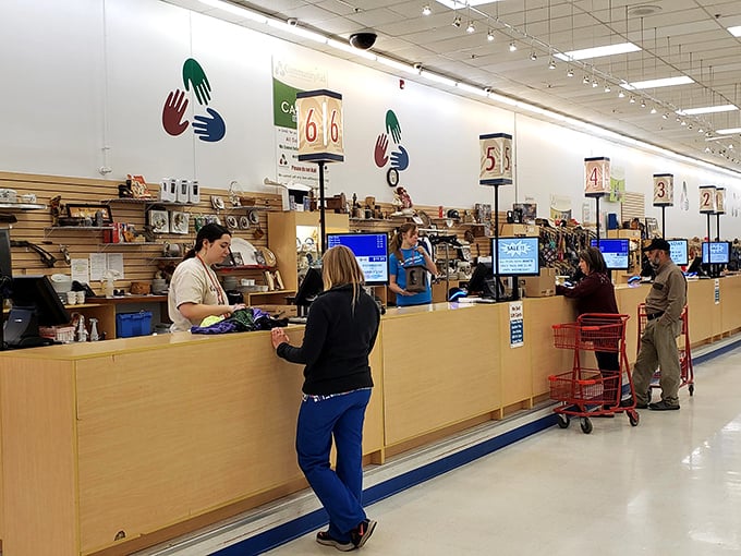 The unsung heroes of the thrift universe&mdash;staff who transform donations into discoveries. They've seen everything from designer gems to questionable fashion choices.