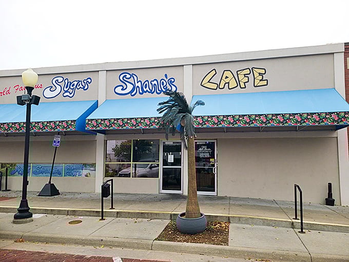 Sugar Shane's Caf&eacute; brings tropical vibes to the plains with its palm tree sentinel&mdash;a whimsical promise of sweetness in the heart of Kansas. 