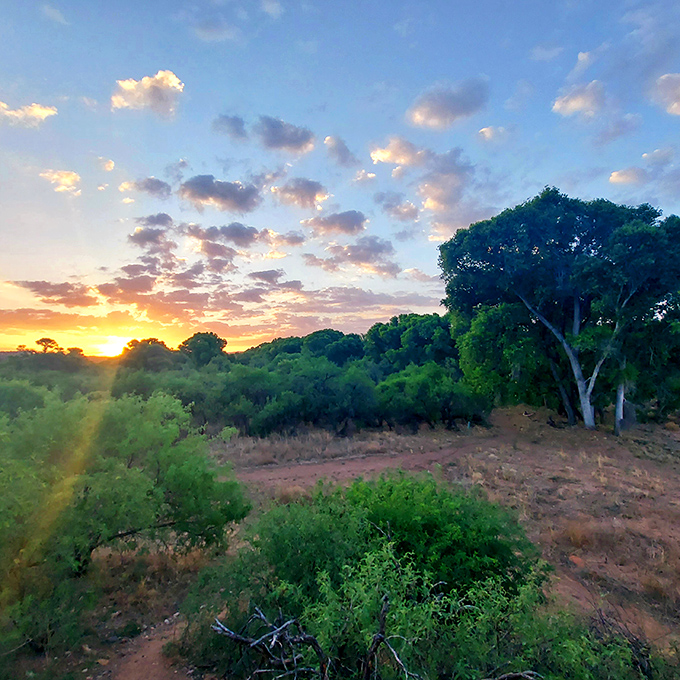As the sun sets over Cottonwood's wild landscape, the sky puts on a show that makes you realize why people fall in love with Arizona.