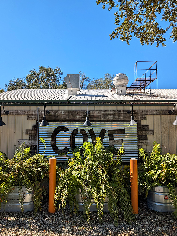 The Cove's rustic-industrial vibe and lush ferns create that perfect Florida hangout spot where conversations flow easier than the craft beers on tap.