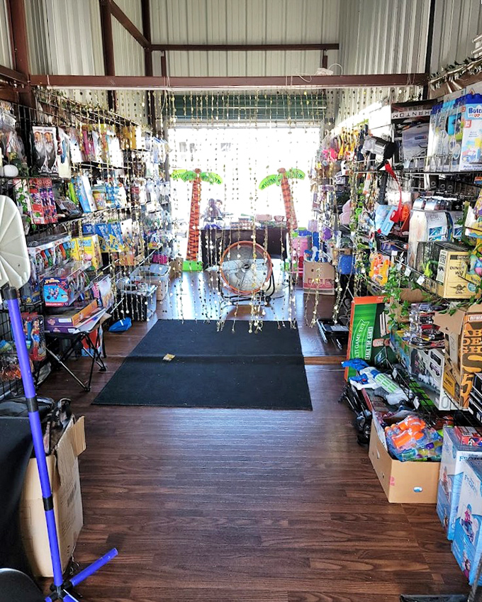 This toy-filled corridor stretches endlessly, like Willy Wonka opened a discount store for absolutely everything imaginable.