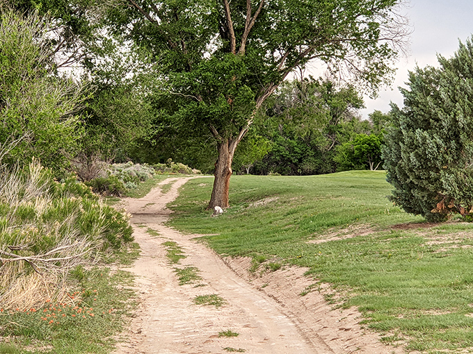 This simple trail winding through native Colorado landscape reminds us that sometimes the best amenities in retirement are the ones nature provided first.
