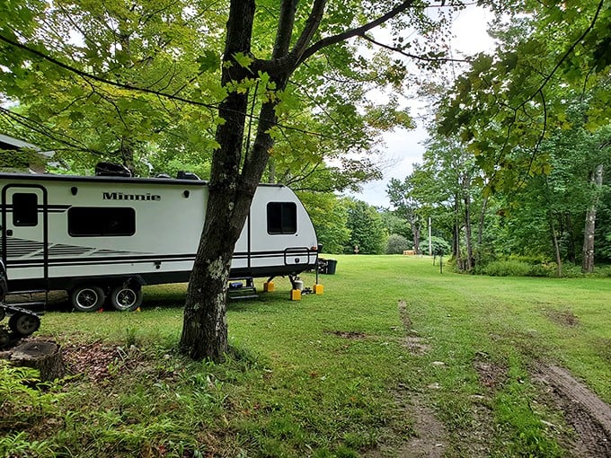 Camping in Farmington means waking up to birdsong instead of traffic, with enough saved money to extend your stay another glorious week.