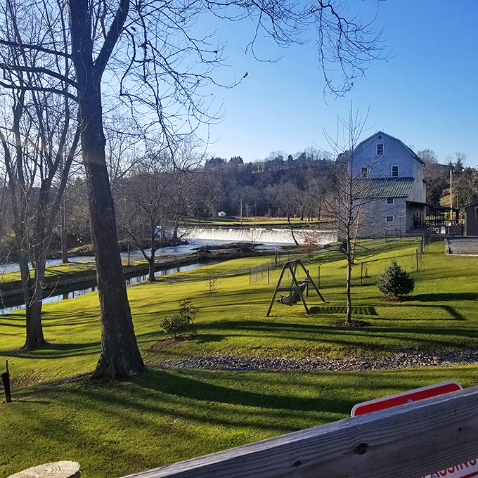 This serene riverside park offers the kind of peaceful vista that makes smartphone scrolling seem suddenly pointless. Nature's screensaver comes to life.