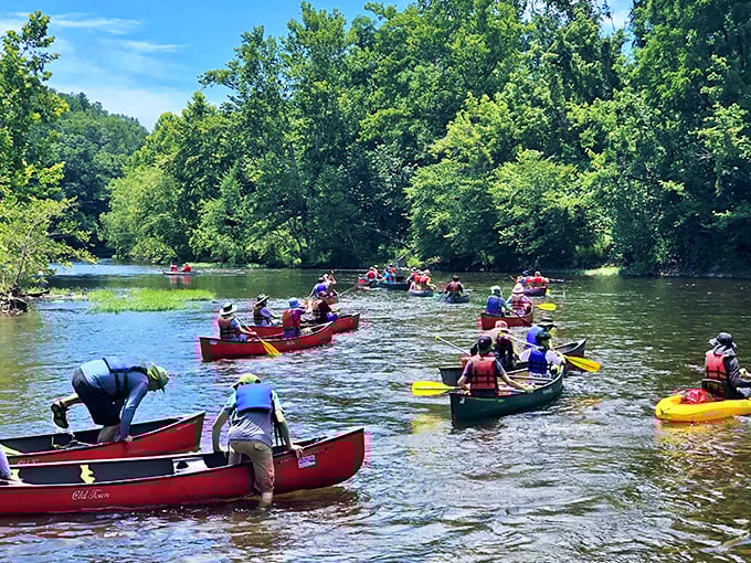 Twin River Outfitters launches paddlers onto the James River, where the only traffic jams involve friendly canoe conversations.