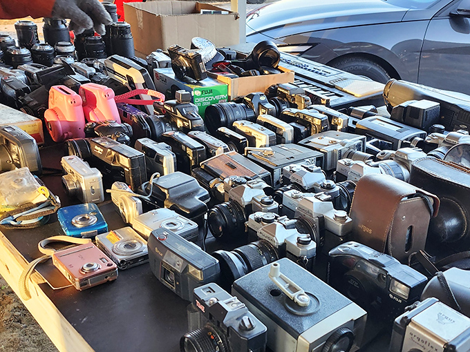 A photographer's dream or nightmare? This collection of vintage cameras captures decades of technological evolution in one cluttered, beautiful tableau.