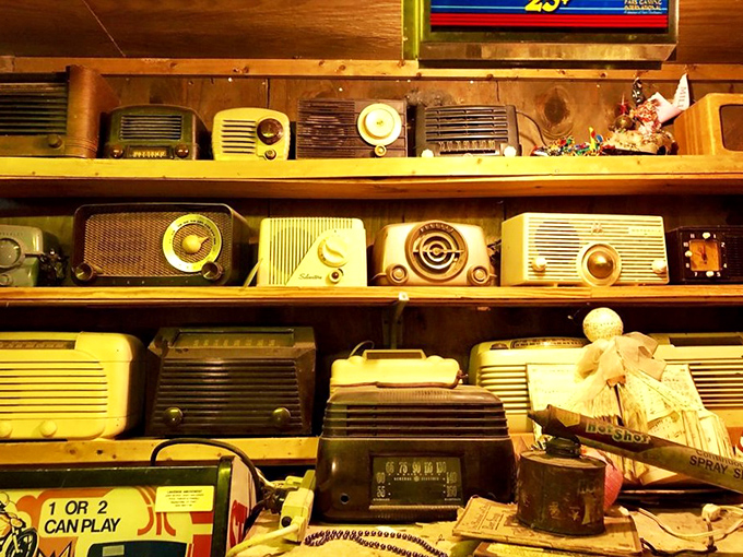 Radio heaven! Vintage receivers line wooden shelves like technological fossils, each with its own story of news and music past.