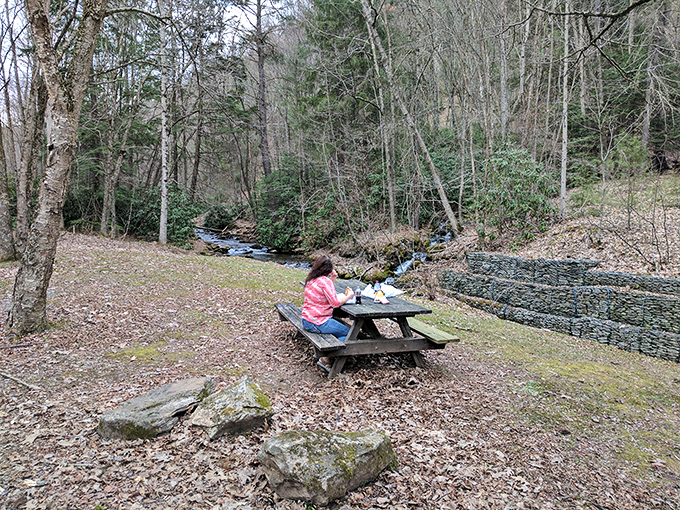 Peaceful creekside dining doesn't require reservations or dress codes. This simple picnic spot offers a soundtrack of rushing water that expensive restaurants try to recreate with fountains.