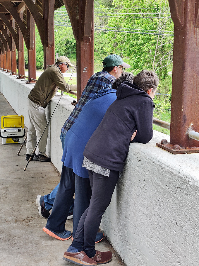 Bridge fishing becomes a social affair as enthusiasts line up along the railing, sharing tips and tales while hoping for the big one.