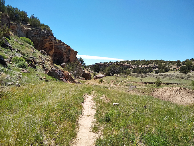 Vogel Canyon's rugged beauty offers a glimpse into Colorado's wilder side. That narrow path isn't just a trail&mdash;it's an invitation to discover what lies beyond the next bend.