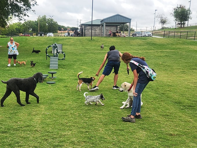 At Wags-A-Hachie Dog Park, four-legged citizens enjoy their own slice of Texas paradise. Even the dogs in Waxahachie seem friendlier than in most places.
