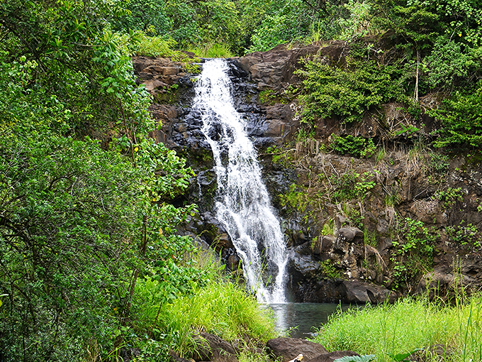 Waimea Waterfall cascades through emerald foliage, creating nature's perfect swimming pool—no lifeguard, just pure paradise.