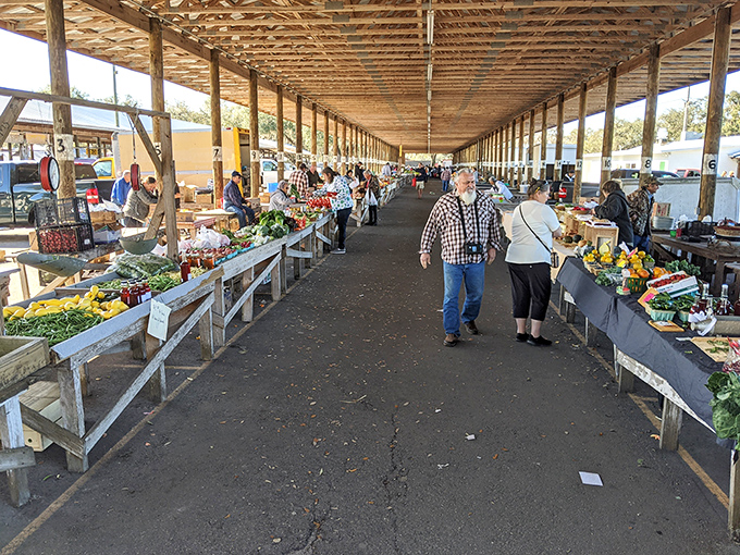 The produce promenade where locals shop and visitors gawk. This covered walkway offers a glimpse into Florida's agricultural bounty and bargain-hunting culture.