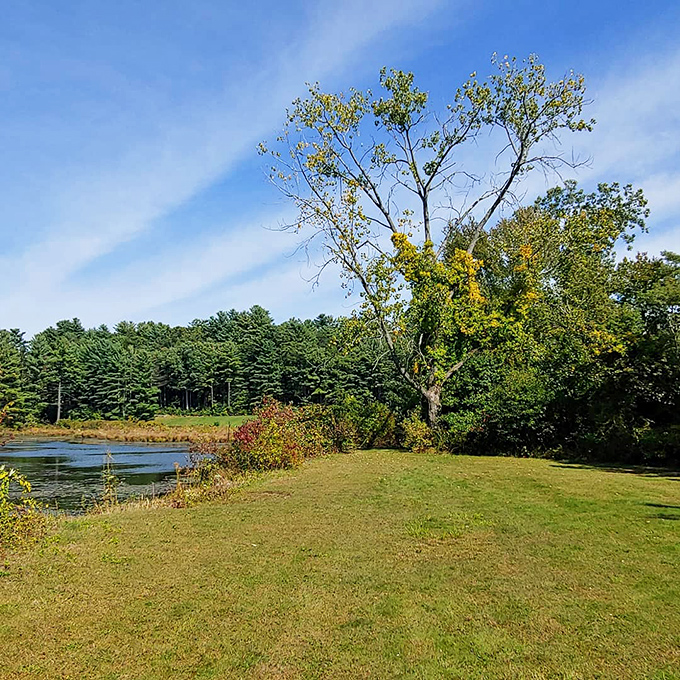 This peaceful pond setting at Dreams Come True Park lives up to its name. A slice of serenity where you can almost hear the stress melting away.