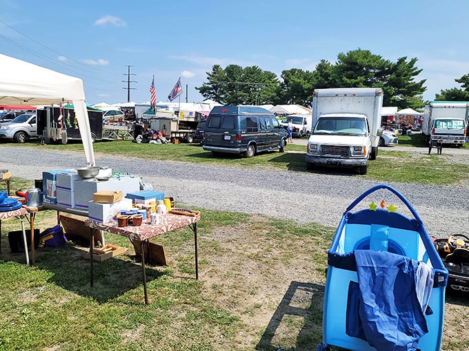 The sprawling landscape of vendor vehicles and pop-up shops &ndash; where early birds catch the worms and latecomers still find plenty to crow about.