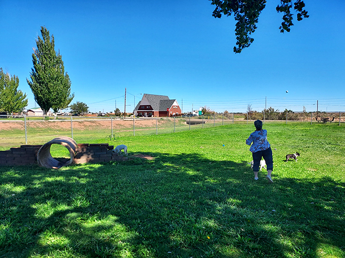 The Winslow Bark Park offers four-legged friends room to roam while their budget-conscious owners enjoy simple, affordable pleasures.