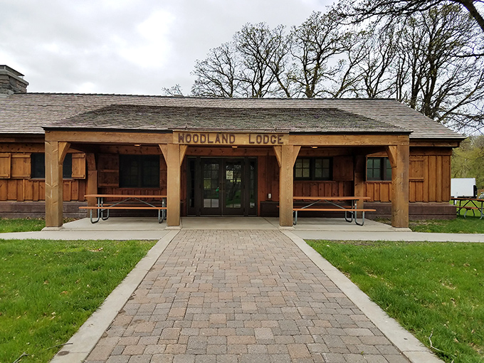 Woodland Lodge welcomes visitors with timber-framed hospitality, offering shelter from both wilderness and Wi-Fi&mdash;a true modern sanctuary.