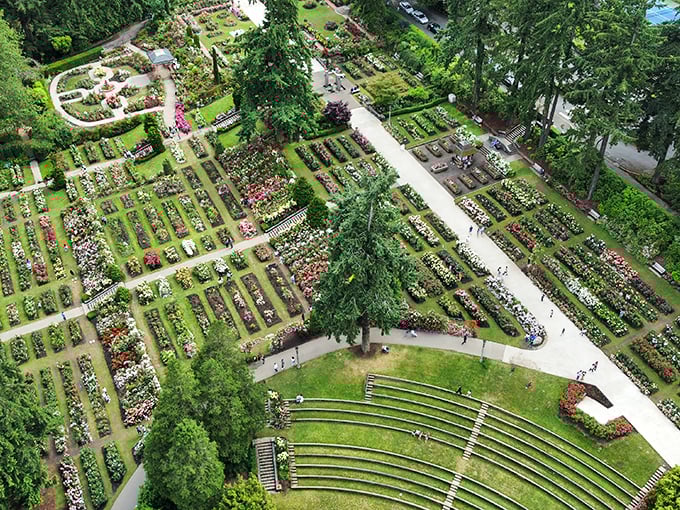 Rose geometry from above. This aerial view reveals the mathematical precision behind the garden's seemingly effortless beauty.