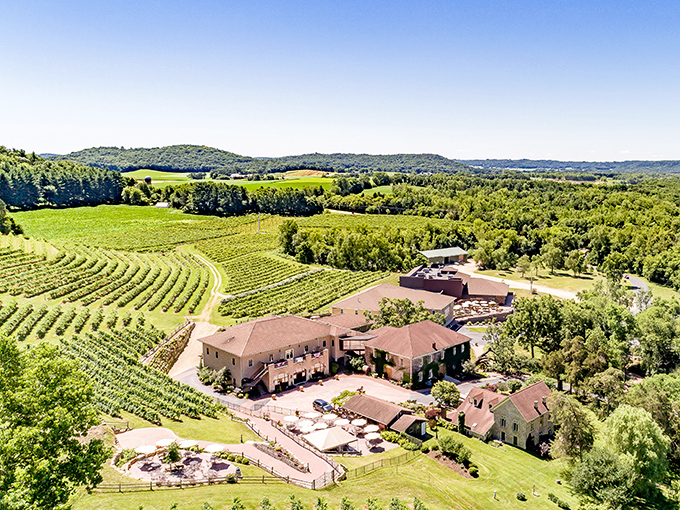 Rolling hills blanketed in grapevines stretch toward the horizon, proving Wisconsin's wine country credentials beyond any reasonable doubt.