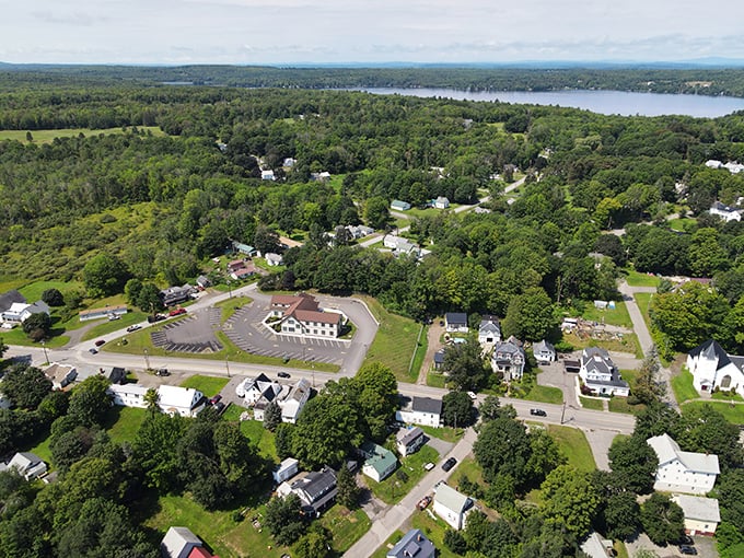 From above, Dexter reveals its perfect balance of nature and neighborhood. Where "breathing room" isn't just a real estate euphemism.