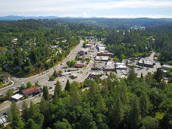 An aerial view reveals Placerville nestled among pine-covered hills, a hidden gem where affordability and California beauty coexist in perfect harmony.