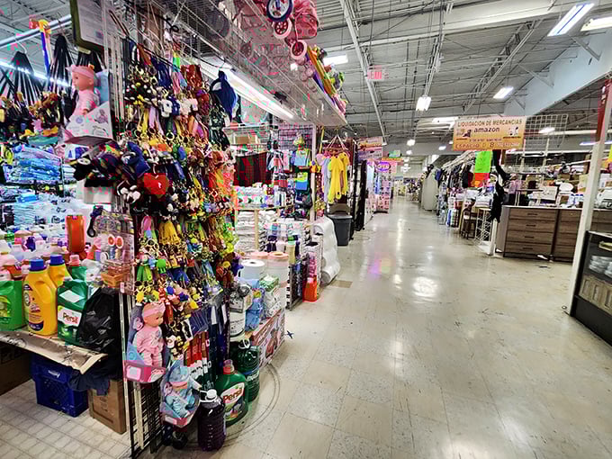 The endless aisles of possibility stretch before you. This is where Saturday mornings disappear and treasure-hunting skills are truly tested.