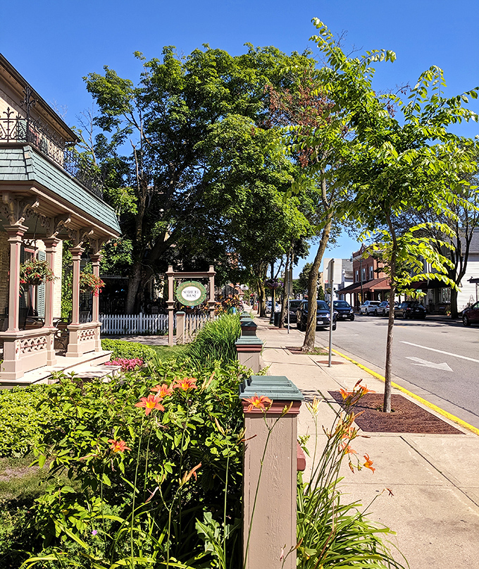 Tree-lined streets create natural canopies overhead, providing shade that actually works better than any expensive patio umbrella.