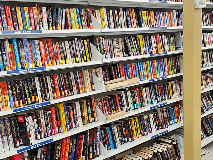 The book section&mdash;literary treasures stacked spine-to-spine. Mystery novels nestled beside cookbooks, waiting for curious minds to discover their secrets.