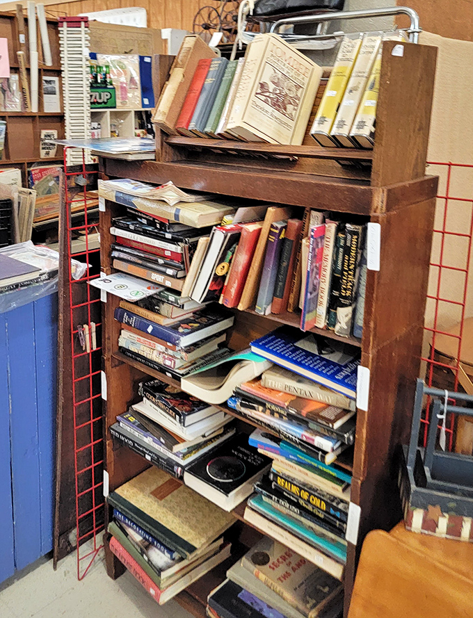 Books stacked with the casual confidence of a shop that knows readers will find them. Spines waiting to be cracked, stories waiting to be rediscovered.