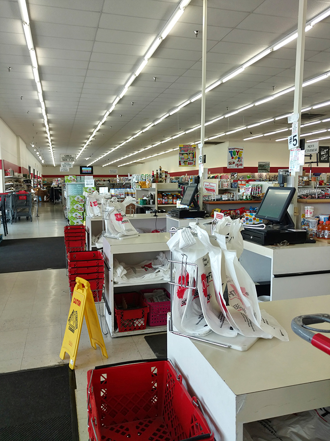 Checkout counters where dreams meet reality, and reality says "That'll be $28.50 for your entire cart, please."