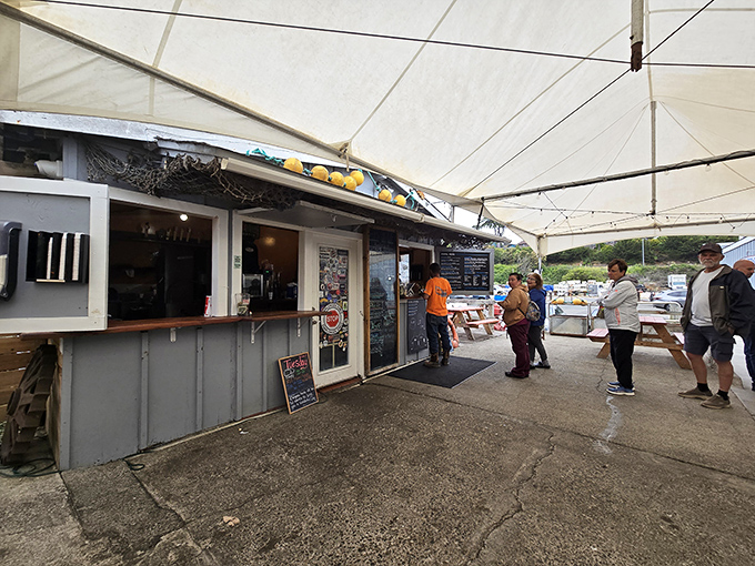 Diners enjoying their meals with the backdrop of Noyo Harbor. The best seasoning is always fresh air and the satisfaction of discovery.