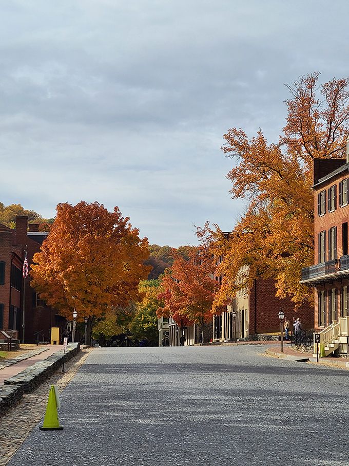 Fall paints Harpers Ferry in fiery hues, transforming an ordinary street into a scene that belongs on the cover of every autumn travel magazine.