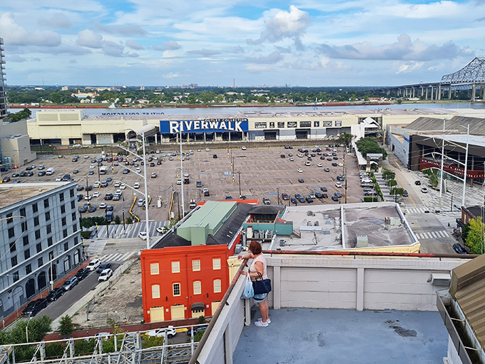 The bird's-eye view reveals the mall's impressive scale. From up here, you can strategically plan your shopping attack like a general surveying the battlefield.