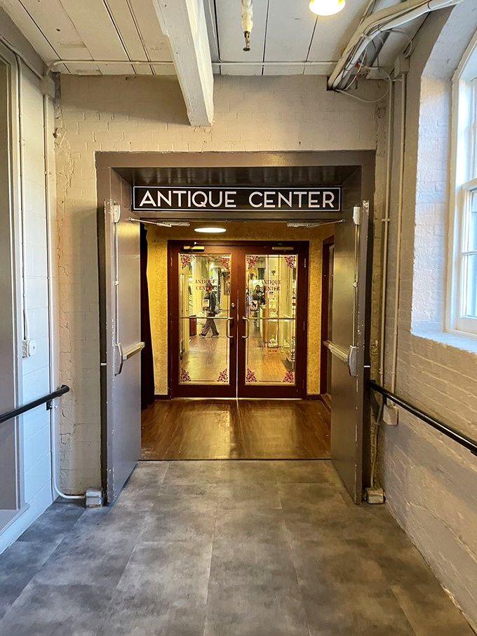 The gateway to wonderland. Step through these doors and kiss your afternoon (and possibly your savings account) goodbye.