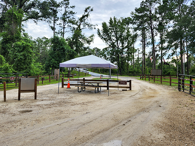The park entrance welcomes visitors with rustic charm, proving that sometimes the most magical places don't need fancy gateways.