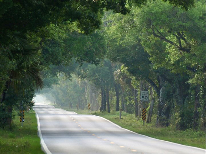 Morning mist clings to the asphalt like nature's own special effect, adding mystery to an already magical journey. 
