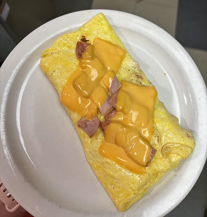 An omelet that knows exactly what it's supposed to be. That cheese pull is nature's way of saying "good morning."