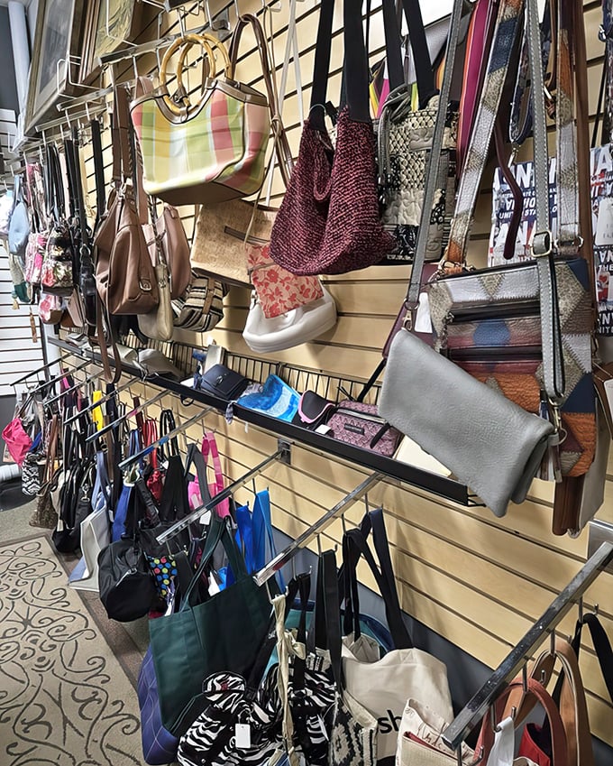 Handbags dangle in colorful profusion, offering accessory options for every outfit without requiring credit card interest payments afterward.