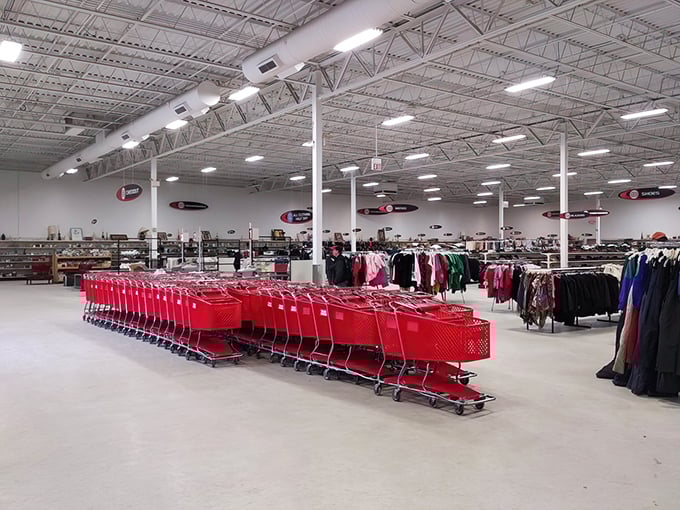 An army of empty red carts stands at attention, each awaiting its mission to carry someone's thrifting dreams through fluorescent-lit aisles.