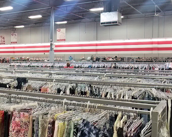 The vast interior reveals organized chaos transformed into shopper's paradise, where warehouse scale meets thoughtful merchandising throughout every section.