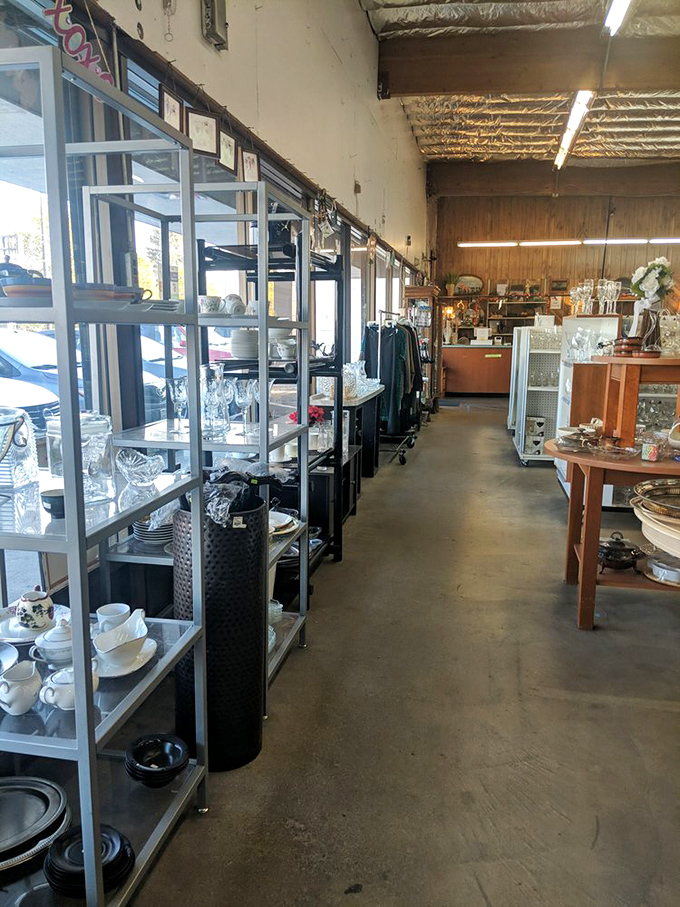 Crystal, china, and everyday dishes line the shelves like a wedding registry where everything is already paid for.