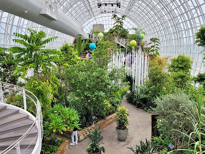 Inside the Crystal Bridge, where Oklahoma winters are forgotten and tropical dreams come true. A jungle adventure without the passport.