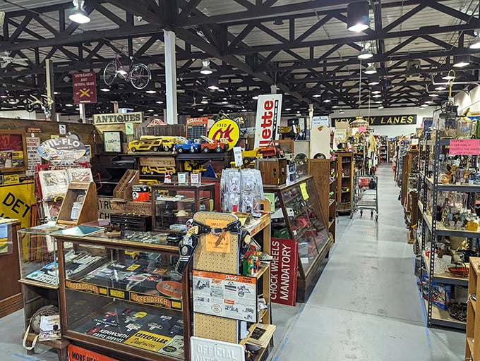 The view from here suggests you've barely scratched the surface—there's always another aisle calling your name.