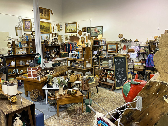 Every corner reveals new treasures in this carefully curated chaos. The chalkboard promises "antiquing fun"&mdash;and delivers on that promise tenfold.