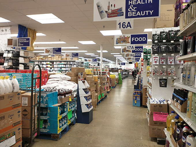 Endless aisles of household necessities organized by category, making treasure hunting efficient without sacrificing the thrill of discovery.