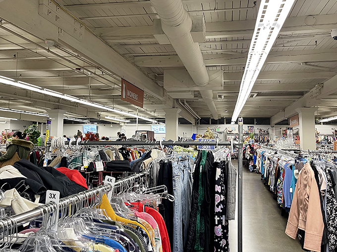 The clothing section stretches to the horizon, a fabric rainbow where fashion trends of decades past await their inevitable comeback.