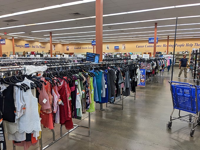 The thrifter's paradise in full glory&mdash;where shopping carts become treasure chests and every aisle promises the thrill of the unexpected find.