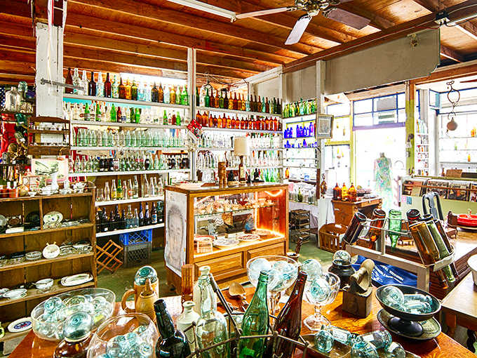 Bottle wonderland bathed in natural light. The sun transforms this collection into a kaleidoscope of colors and memories.